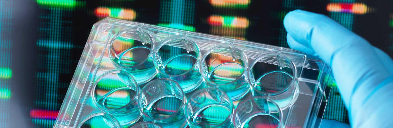 Master's Bioinformatics and Systems Biology - Vrije Universiteit Amsterdam